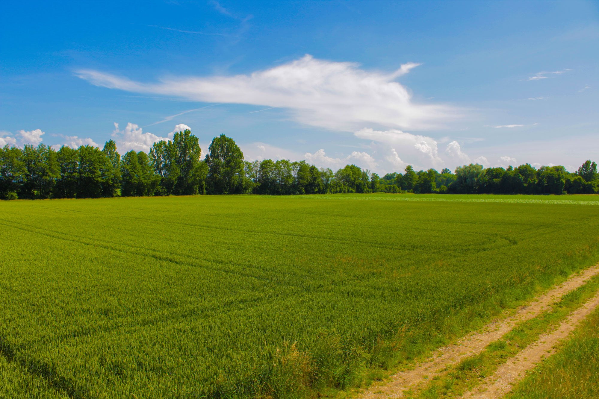 Land Wanted | Troy Homes in Essex, New Builds London, Property Land Wanted | Troy Homes in Essex, New Builds London, Property